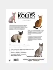 Все породы кошек. Большая иллюстрированная энциклопедия, Алина Ярощук ...
